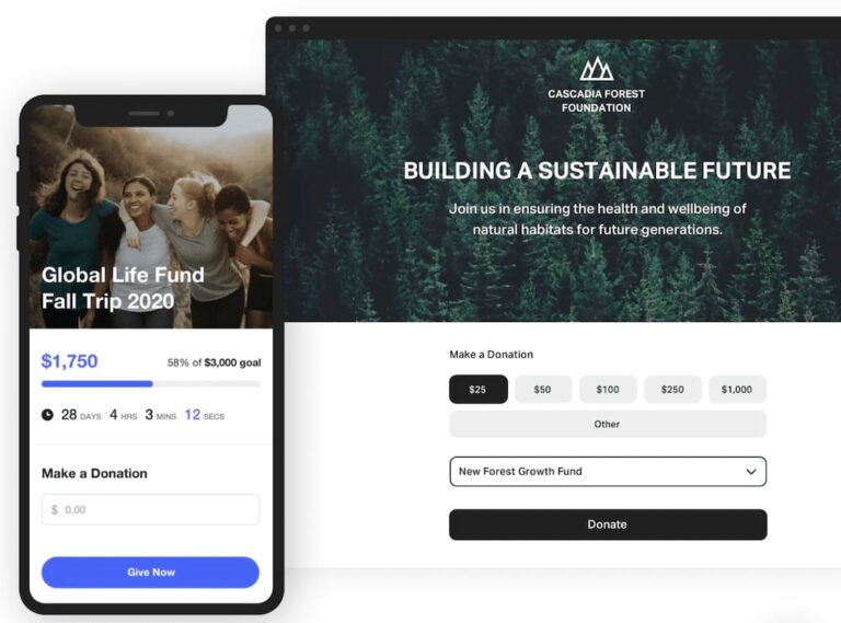 How to Choose the Best Donation Platforms for Nonprofits in 2025 ...