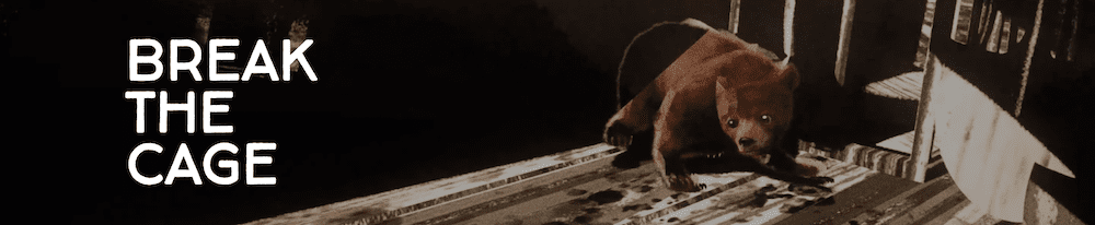 The 10+ Best Charity Campaigns: Overview