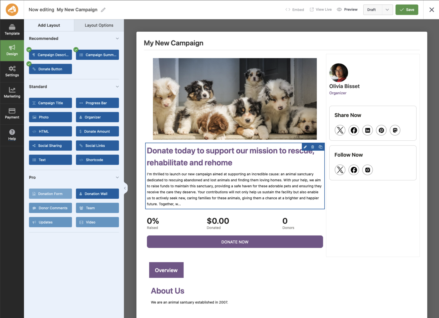 Design Stunning Campaigns in Minutes: Charitable Visual Builder